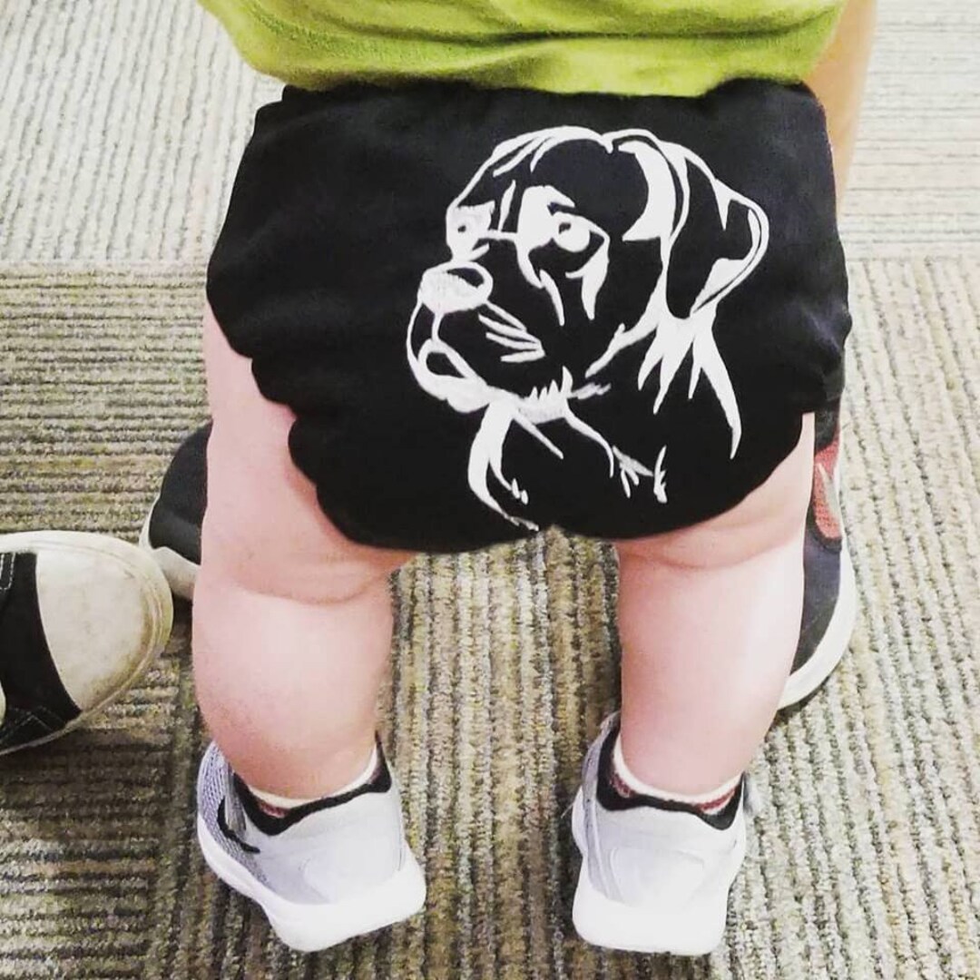 Dog Cloth Diaper Boxer Cloth Diaper Embroidered Diaper All in One ...