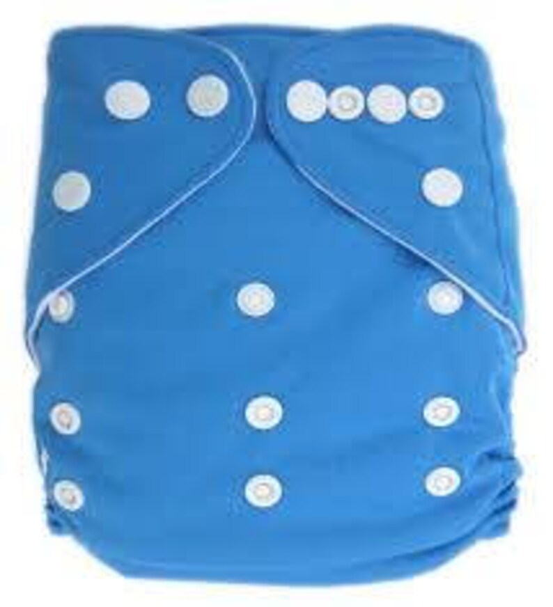 Fox Cloth Diaper First Birthday Cloth Diaper Nappy Pocket | Etsy