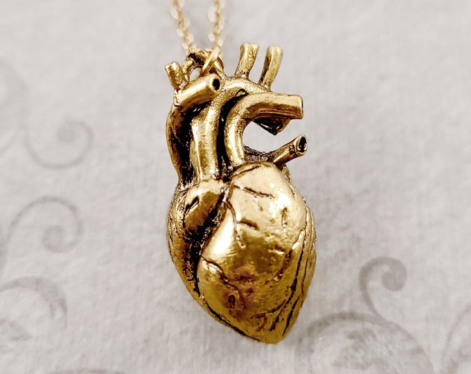 Anatomical Heart Necklace Heart Pendant Necklace Human Heart Charm ...
