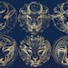 Ornate Magical Circle Clipart & Stamp Brush: Symbols, Glyphs, Runes ...