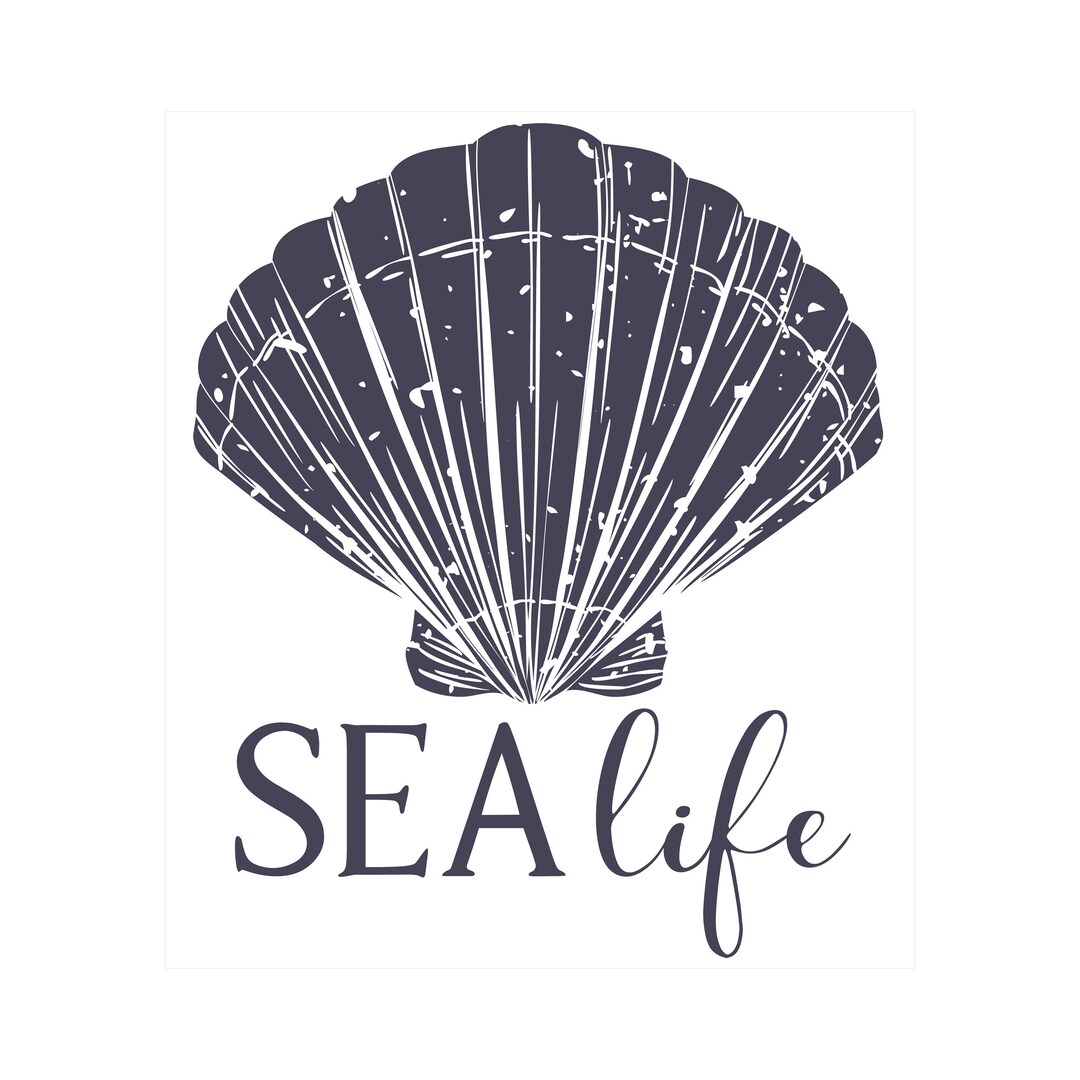 Sea Life SVG, Seashell SVG, Dxf, Eps PNG, Cricut Cut File, Digital ...