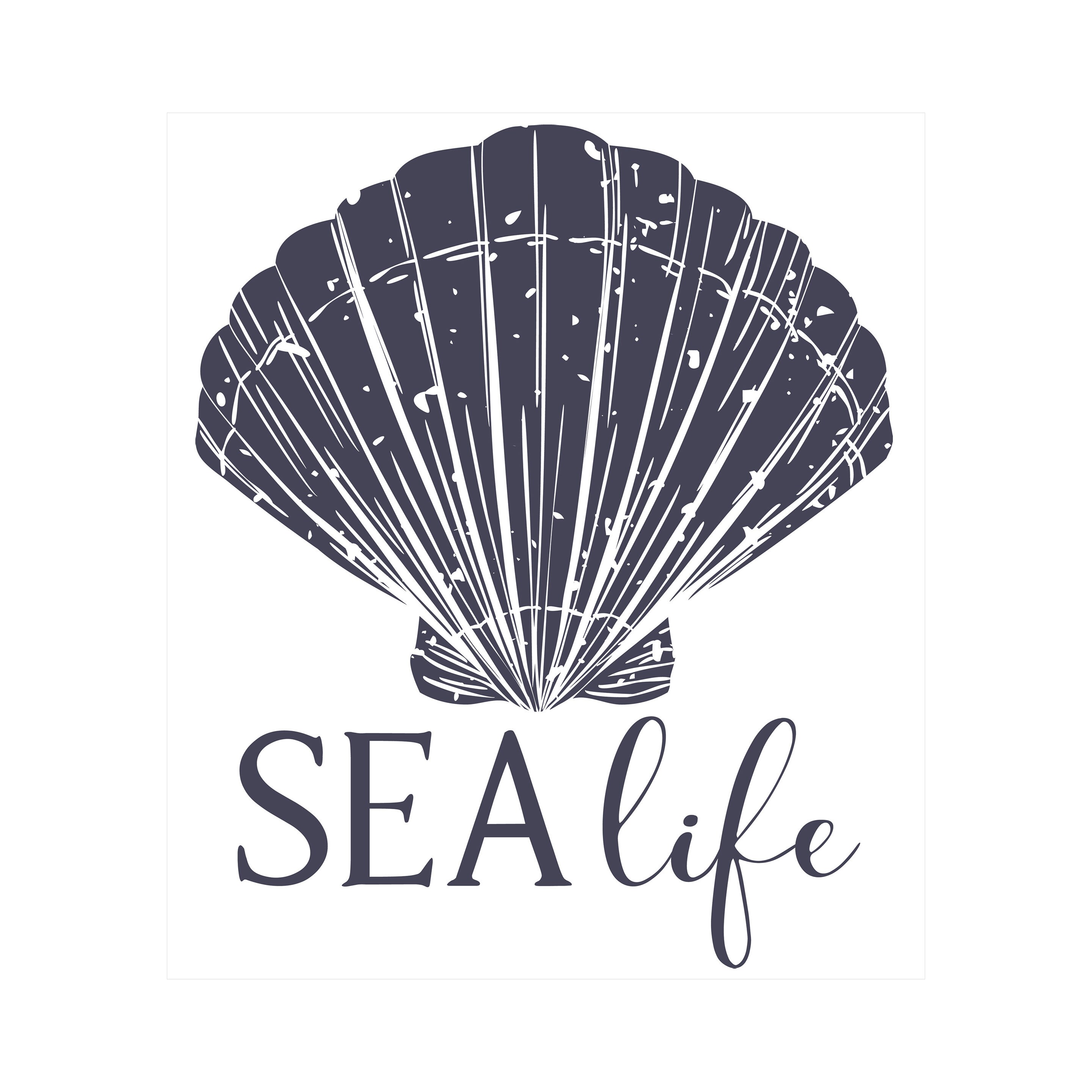 Sea Life SVG Seashell SVG Dxf Eps PNG Cricut Cut File - Etsy