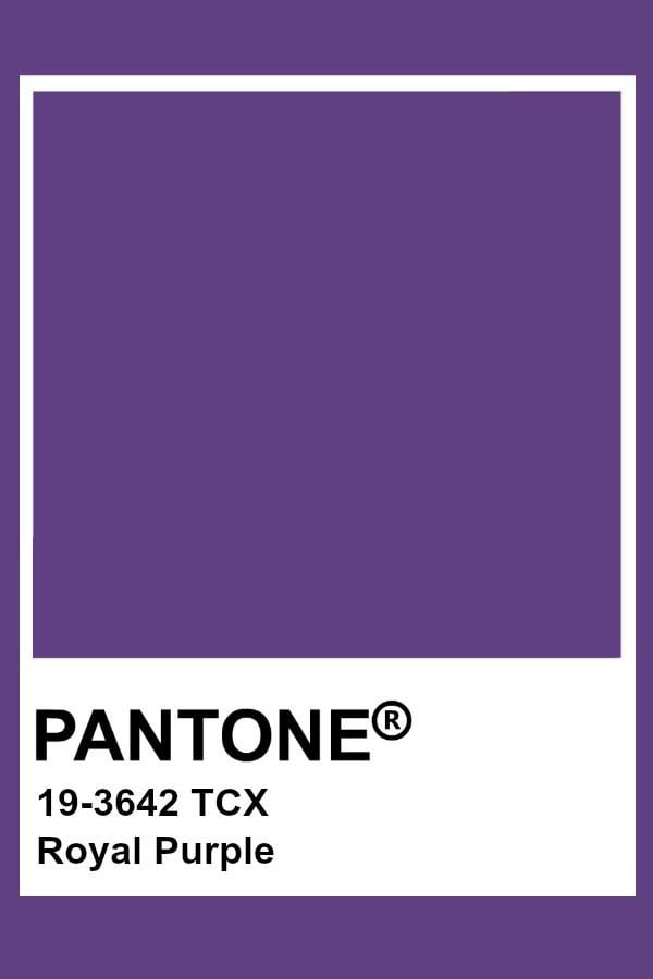 Royal Purple "jessie" Bold Peaked Edge 100% Cotton Fine Cluny Lace Trim ...