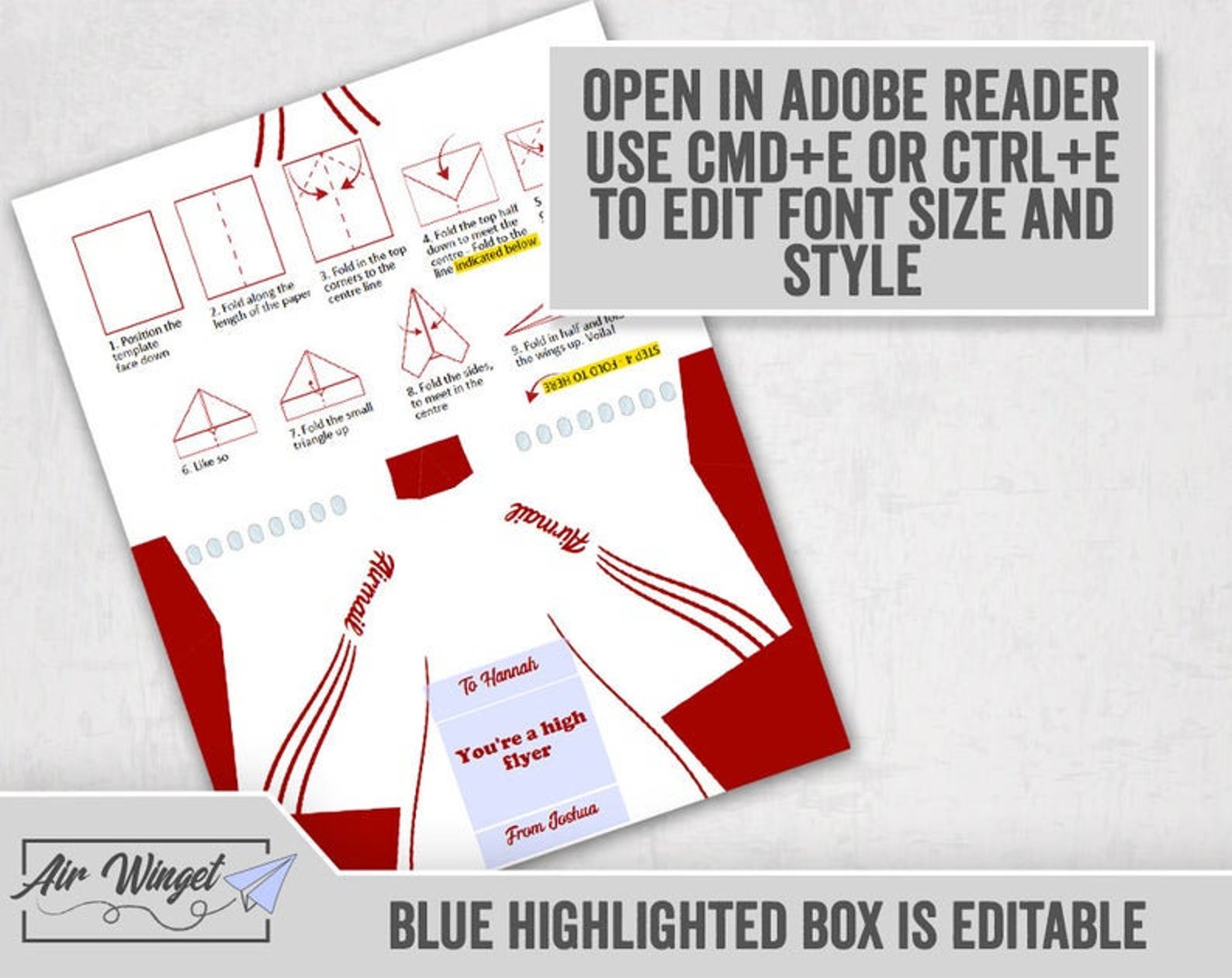 Airplane Paper Plane Template Editable Plane Card Template - Etsy UK