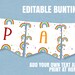 Editable Rainbow Party Bunting, Printable Rainbow Party Banner, Any ...
