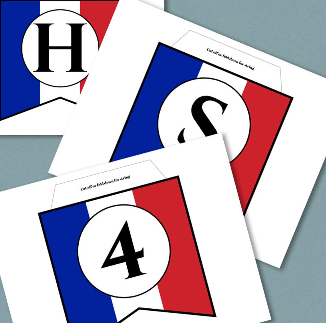 French Flag Bunting Printable Any Phrase DIY France Party | Etsy