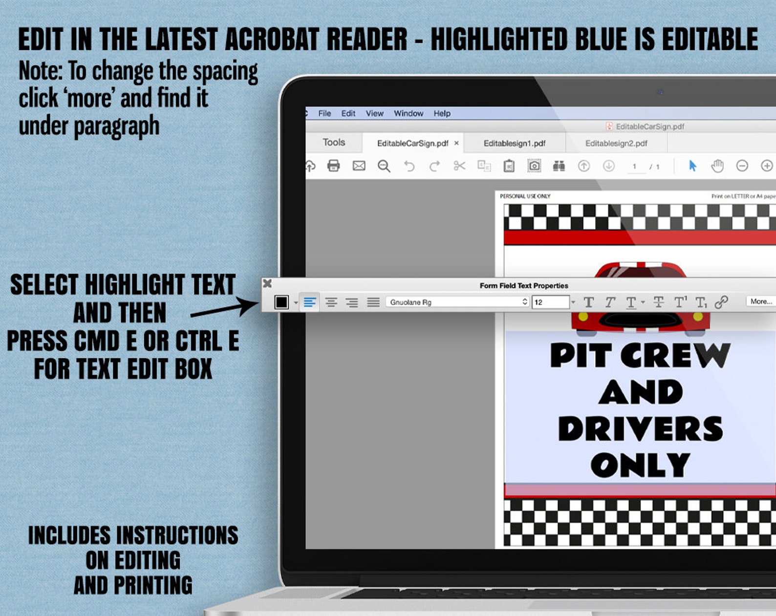 Racing Driver Printable Party Signs Editable Race Car Party - Etsy UK