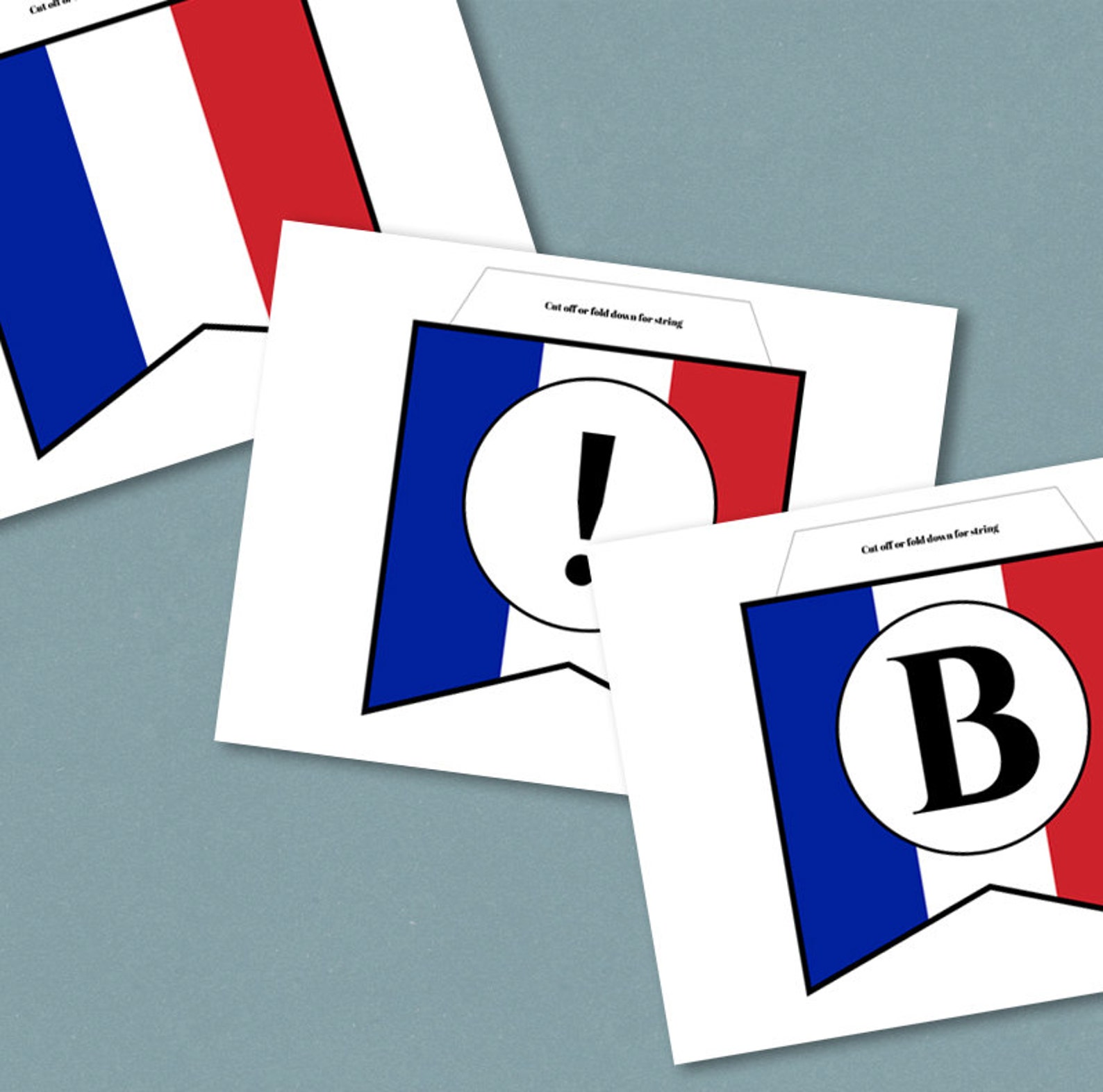 French Flag Bunting Printable Any Phrase DIY France Party | Etsy