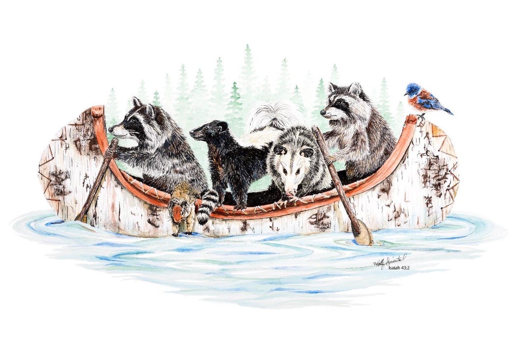 Critter Canoe , Mountain Animal Wildlife Watercolor Poster by Holly ...