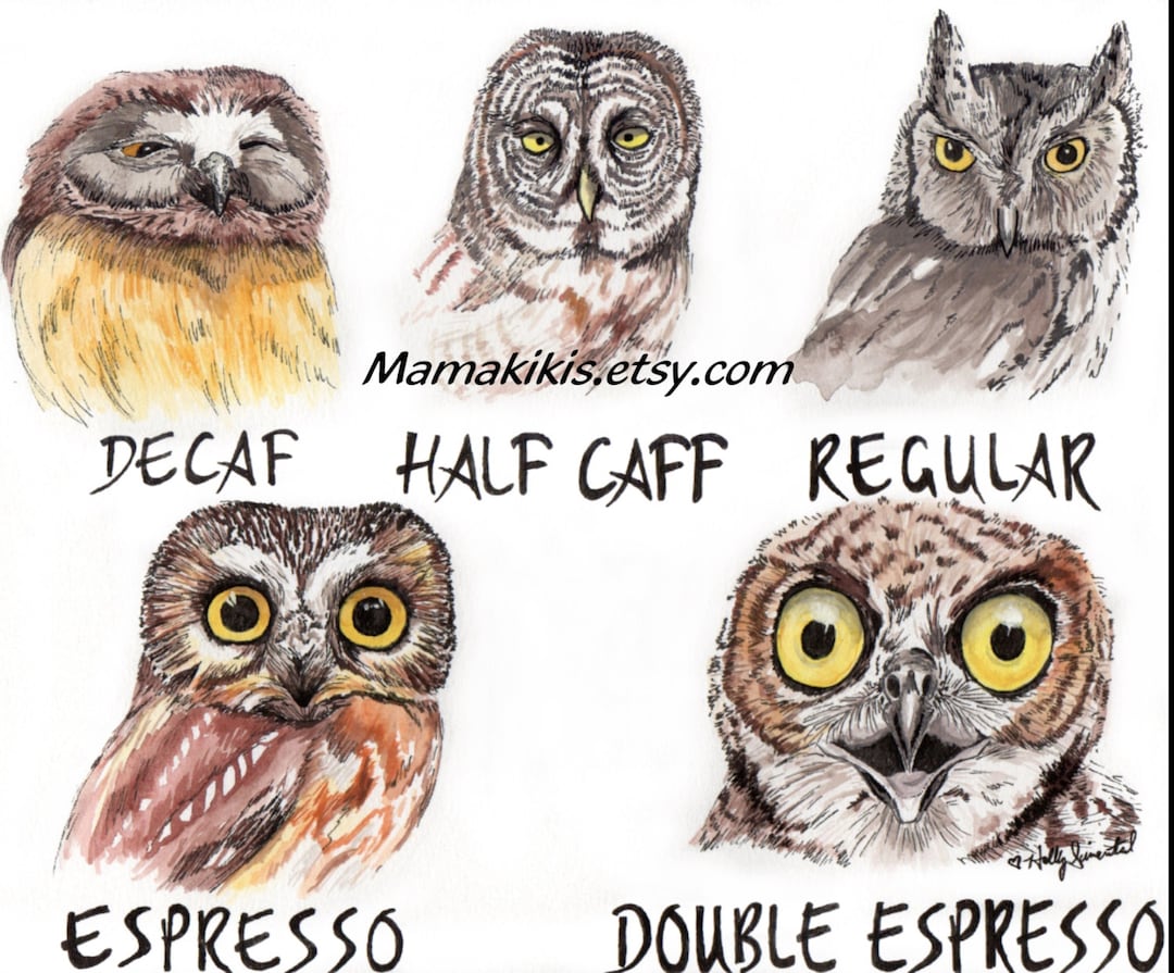 Owl Caffeine Meter , Funny Owl Coffee Watercolor Painting Signed Print ...