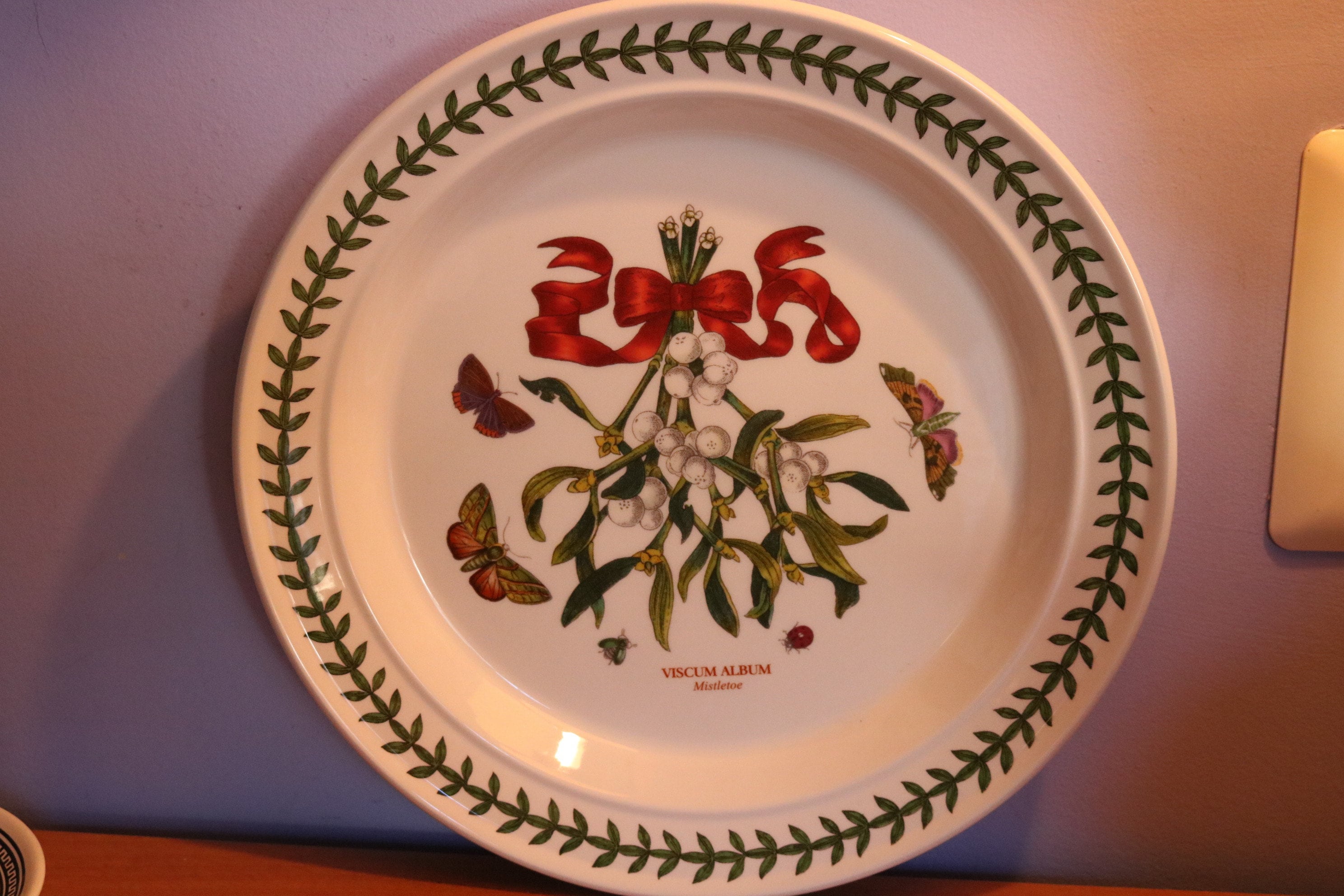 Mistletoes Plate Craft Project