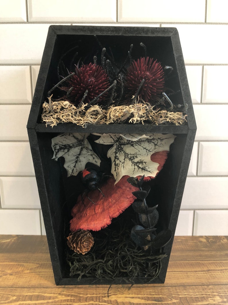 Wood Coffin Curriosity Diorama - Horror Gothic Box - Etsy