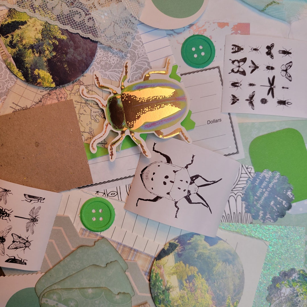 Bugs in Turquise Ephemera Scrap Pack. Scrapbooking, Junk Journal ...