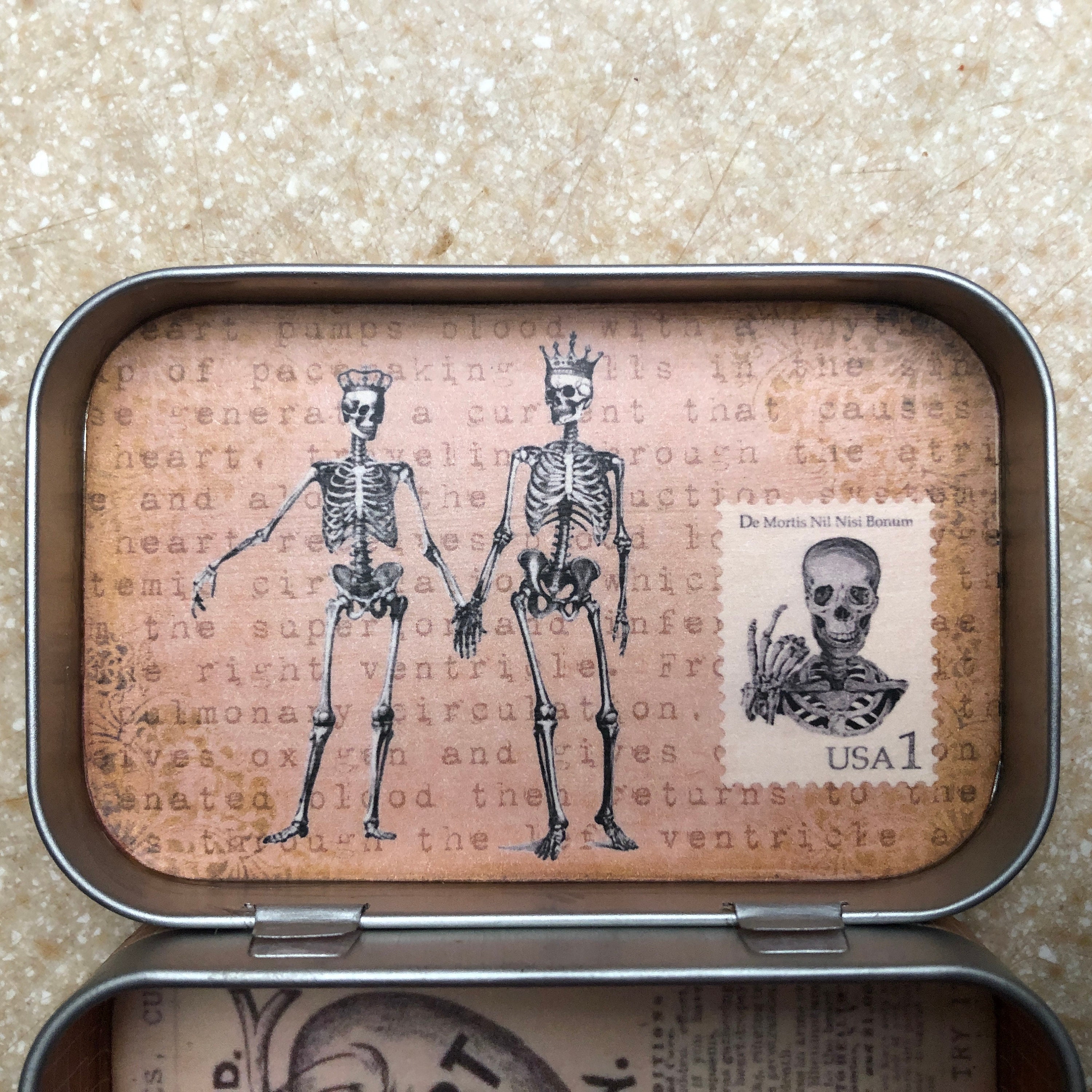 Medical Anatomy Altered Altoid Tin - Etsy
