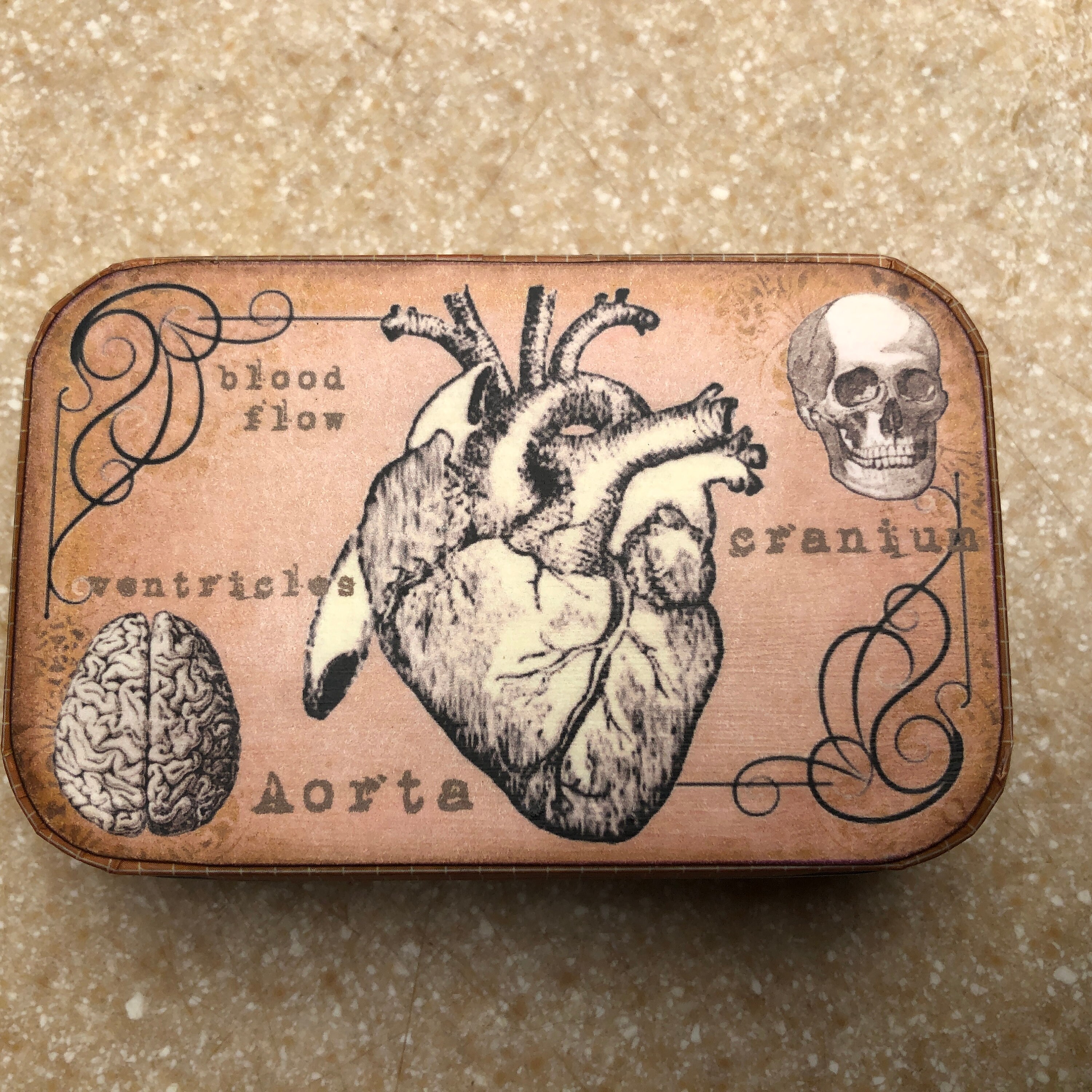 Medical Anatomy Altered Altoid Tin - Etsy