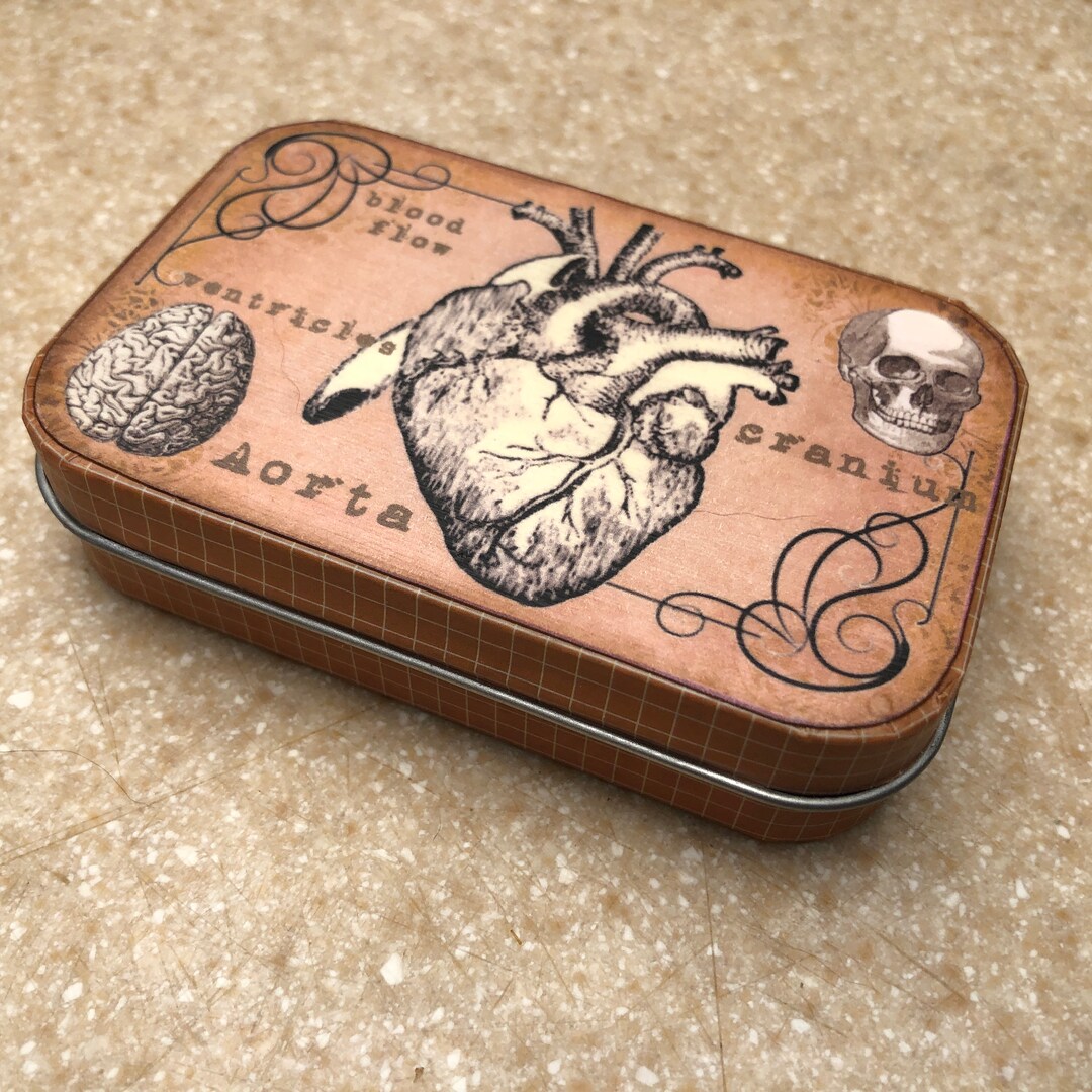 Medical Anatomy Altered Altoid Tin - Etsy