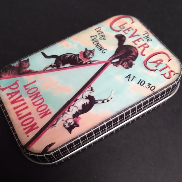 Cat Tin - Etsy