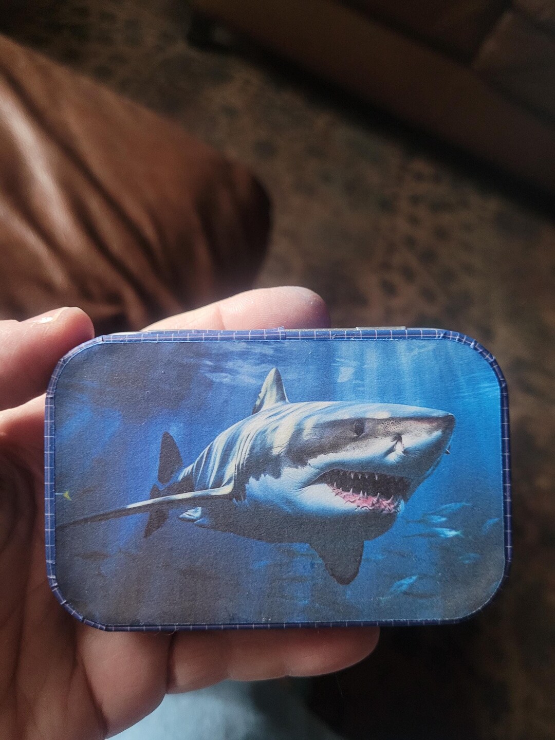 Shark Tin - Etsy