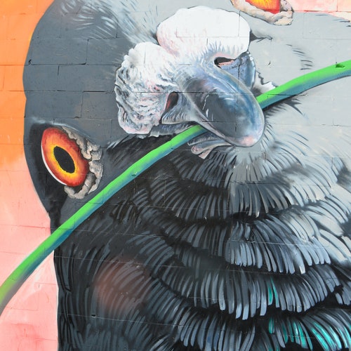 Pigeons Handmade Hand Stitched Key Chain Pigeon Bird Felt - Etsy UK