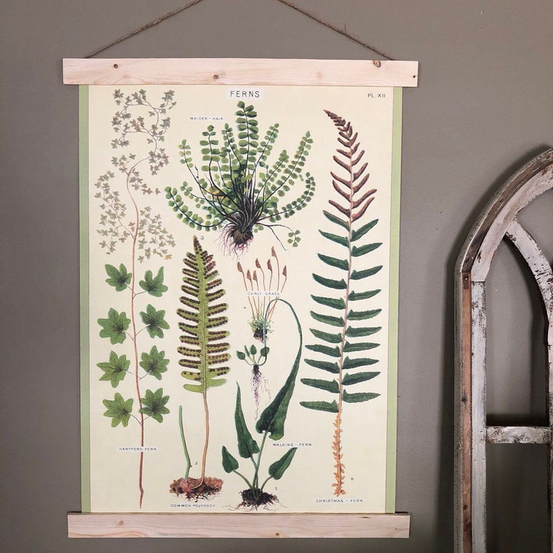 Fern Art - Etsy