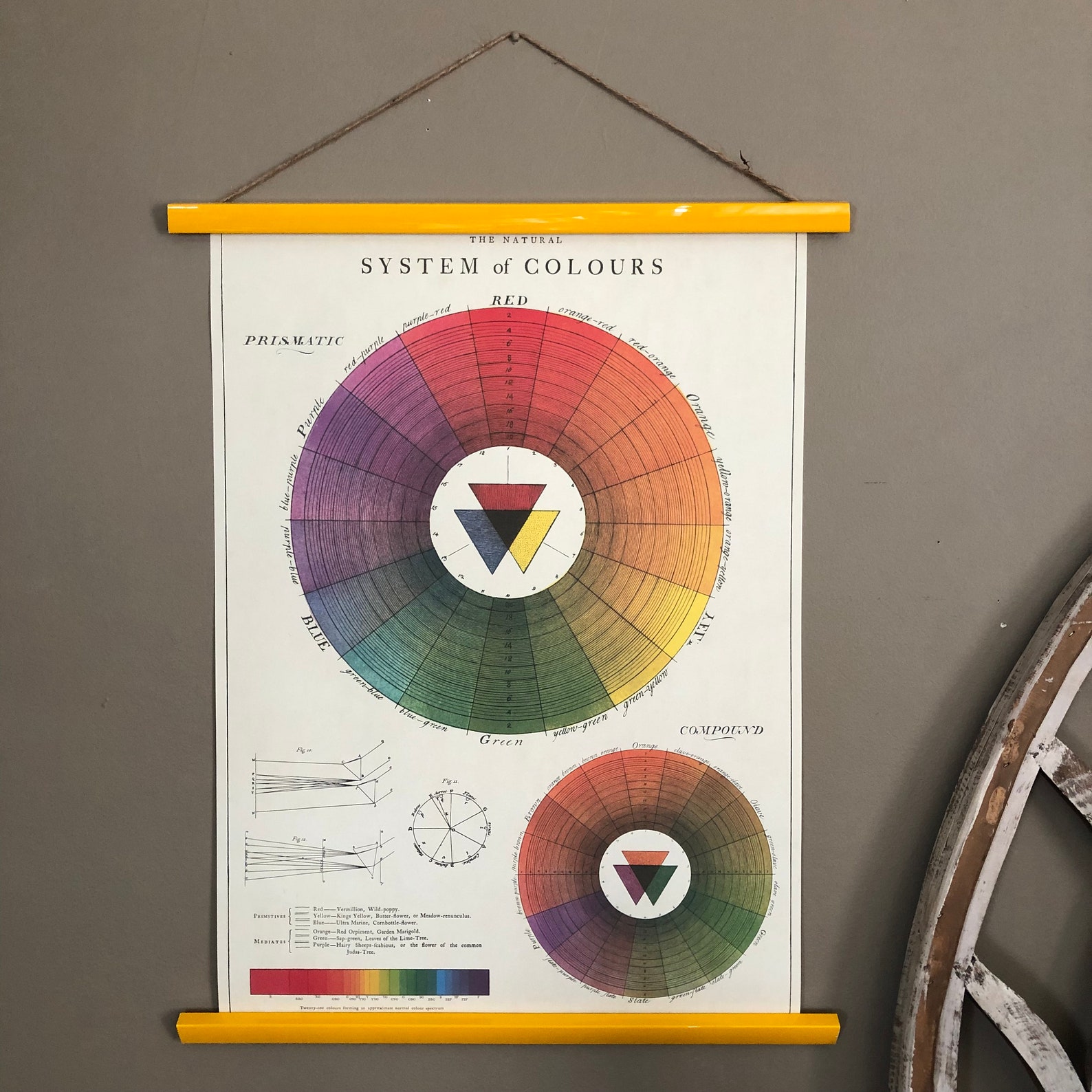Color Wheel Art Color Wheel Wall Art Color Wheel Print - Etsy