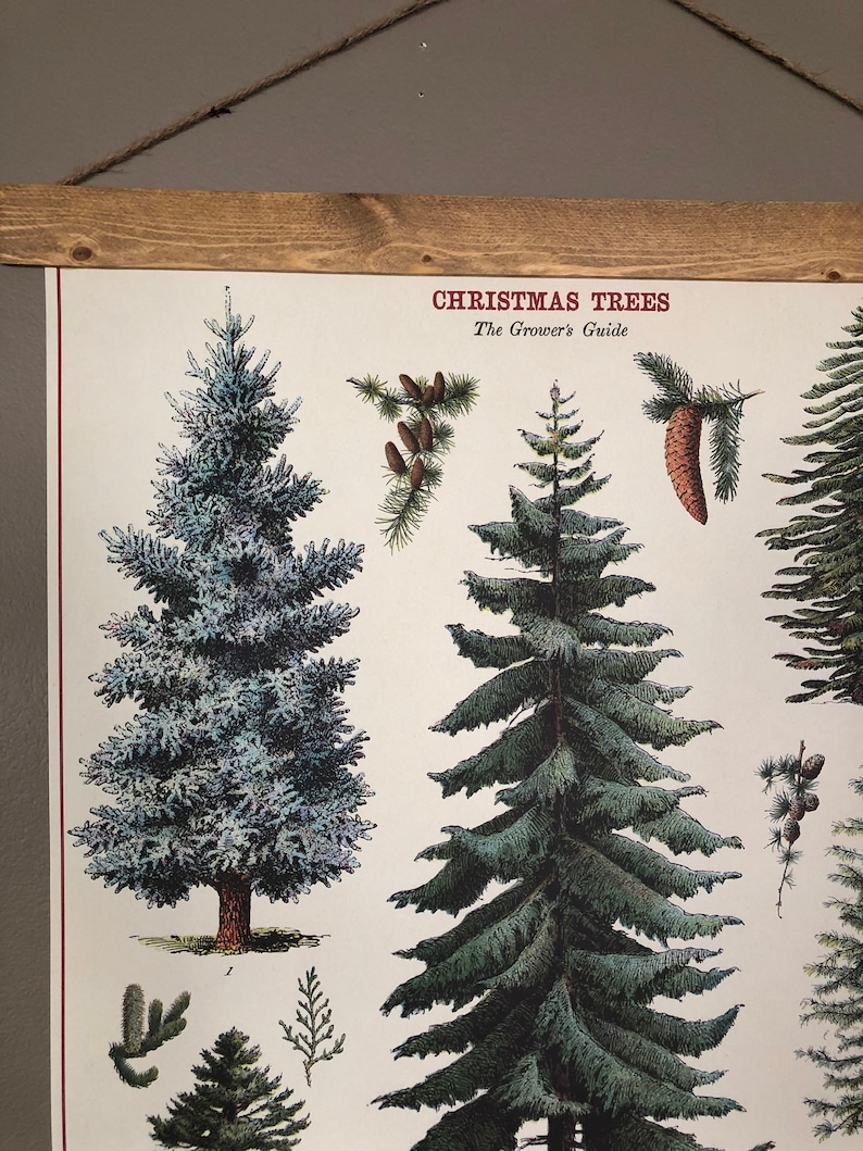 Christmas Trees Print Christmas Wall Art Trees Print - Etsy