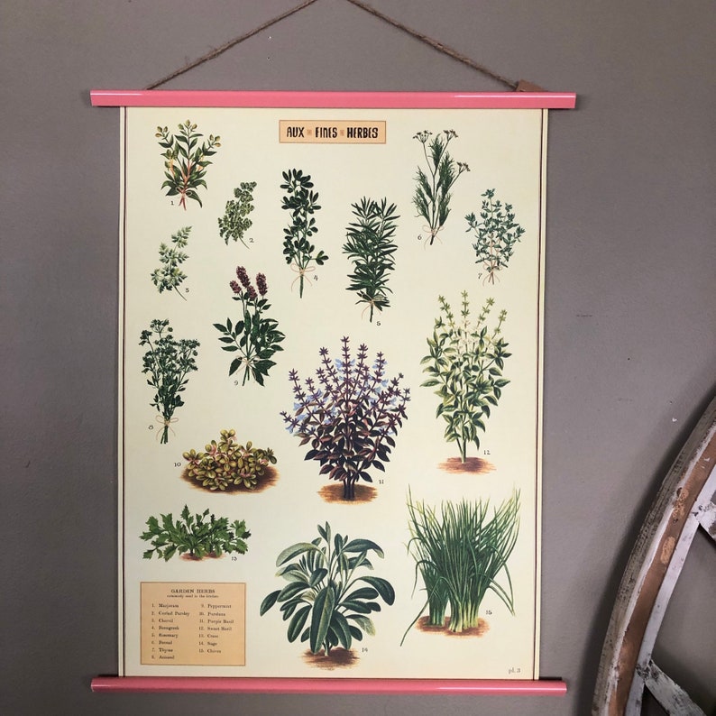 Herbs Print Herbs Poster Herb Wall Art Herb Print Herb - Etsy