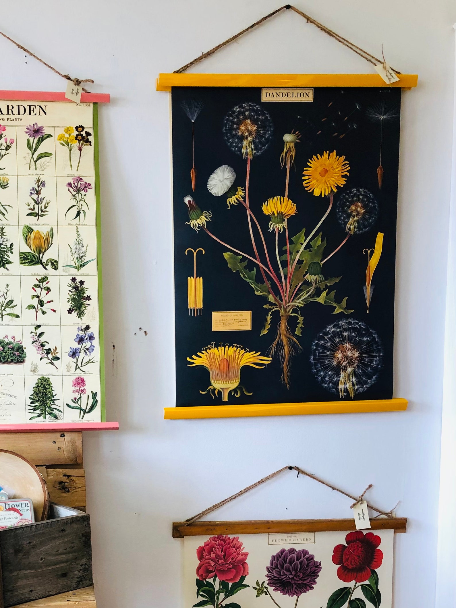 Dandelion Poster Dandelion Print Dandelion Wall Art - Etsy