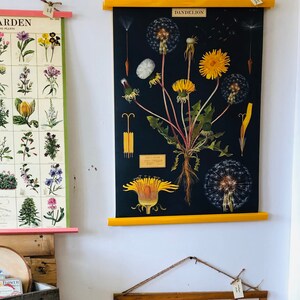 Dandelion Poster Dandelion Print Dandelion Wall Art - Etsy