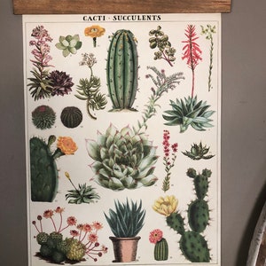 Succulent Print | Succulent Gift | Succulent Decor | Succulents Poster ...