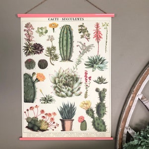 Succulent Print | Succulent Gift | Succulent Decor | Succulents Poster ...