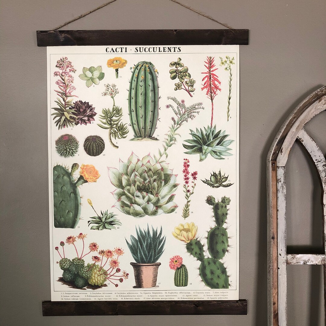Succulent Print | Succulent Gift | Succulent Decor | Succulents Poster ...