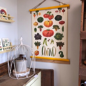 Vegetable Poster | Vegetable Print | Vegetables Poster | Vegetables ...