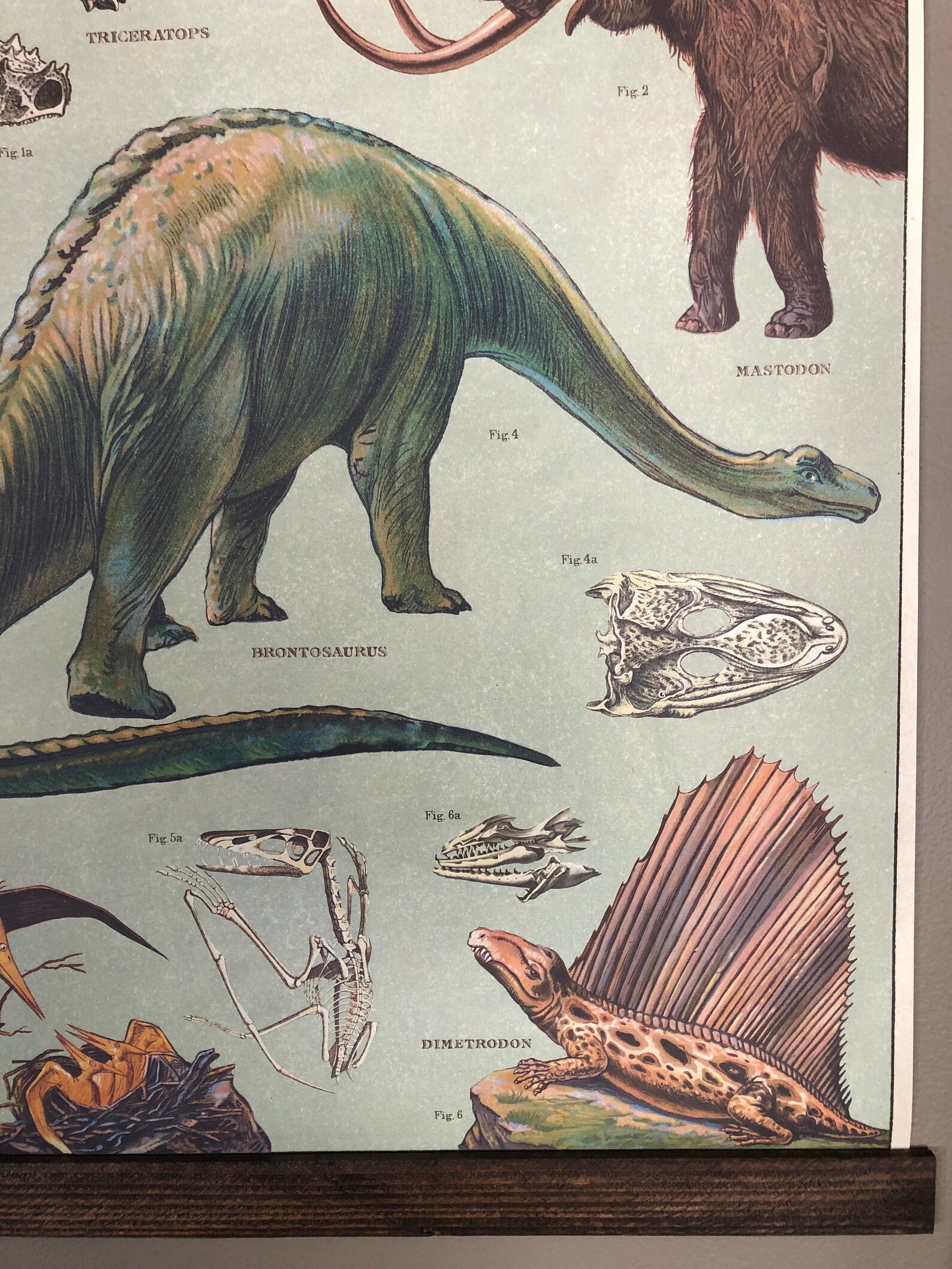 Dinosaur Print Dinosaur Wall Art Dinosaur Home Decor - Etsy