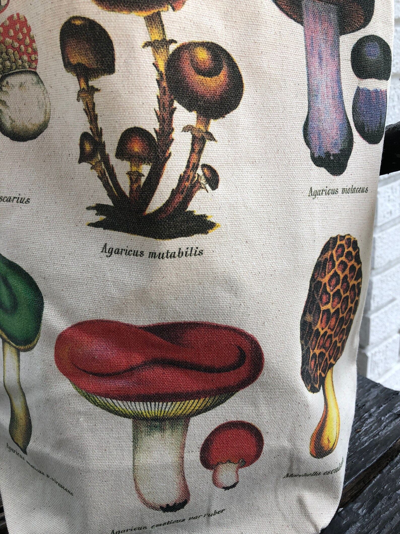 Mushroom Tote Bag Mushroom Totebag Mushroom Print - Etsy