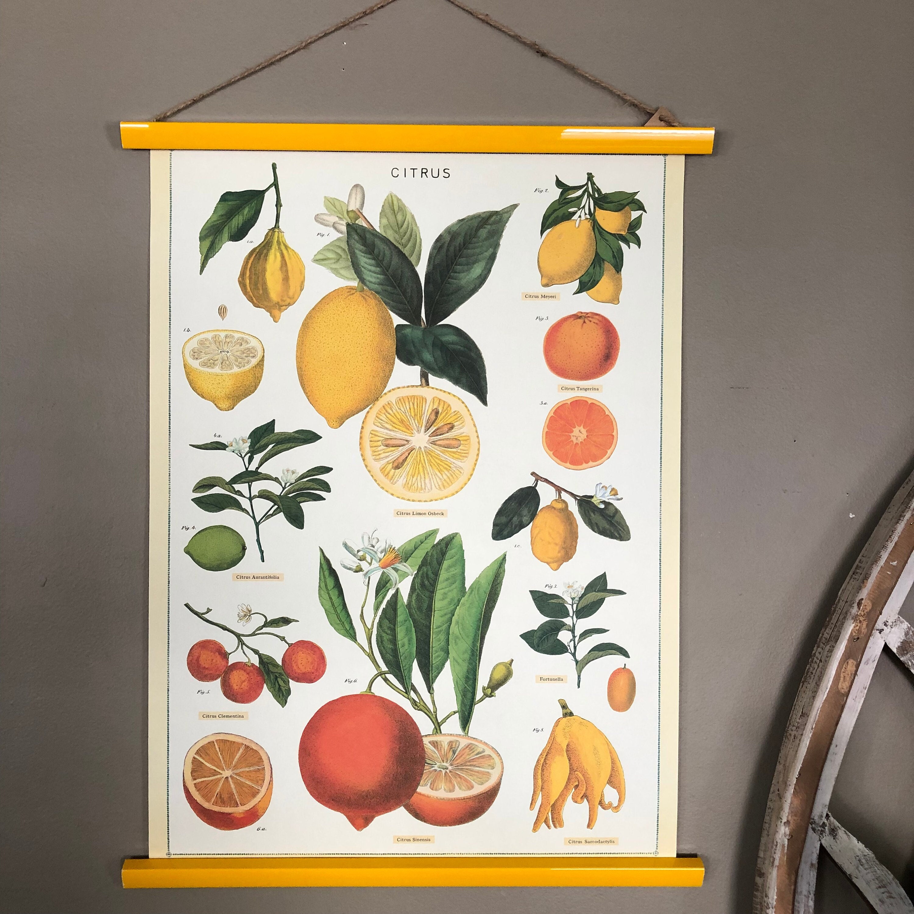 Lemon Print Lemon Decor Lemon Poster Lemons Wall Art - Etsy