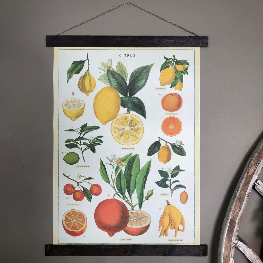 Lemon Print | Lemon Decor | Lemon Poster | Lemons Wall Art | Lemons ...