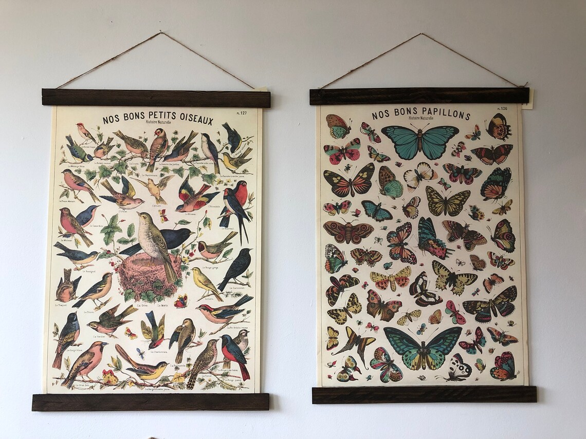 Bird Poster Bird Art Bird Print Bird Wall Art Birding | Etsy