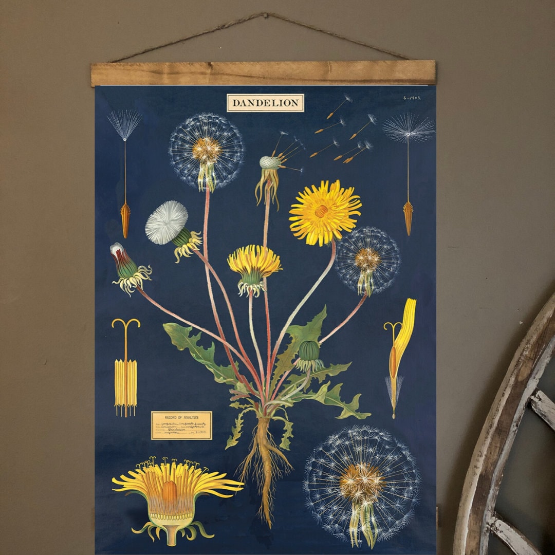 Dandelion Poster Dandelion Print Dandelion Wall Art - Etsy