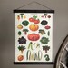 Vegetable Poster Vegetable Print Vegetables Poster - Etsy
