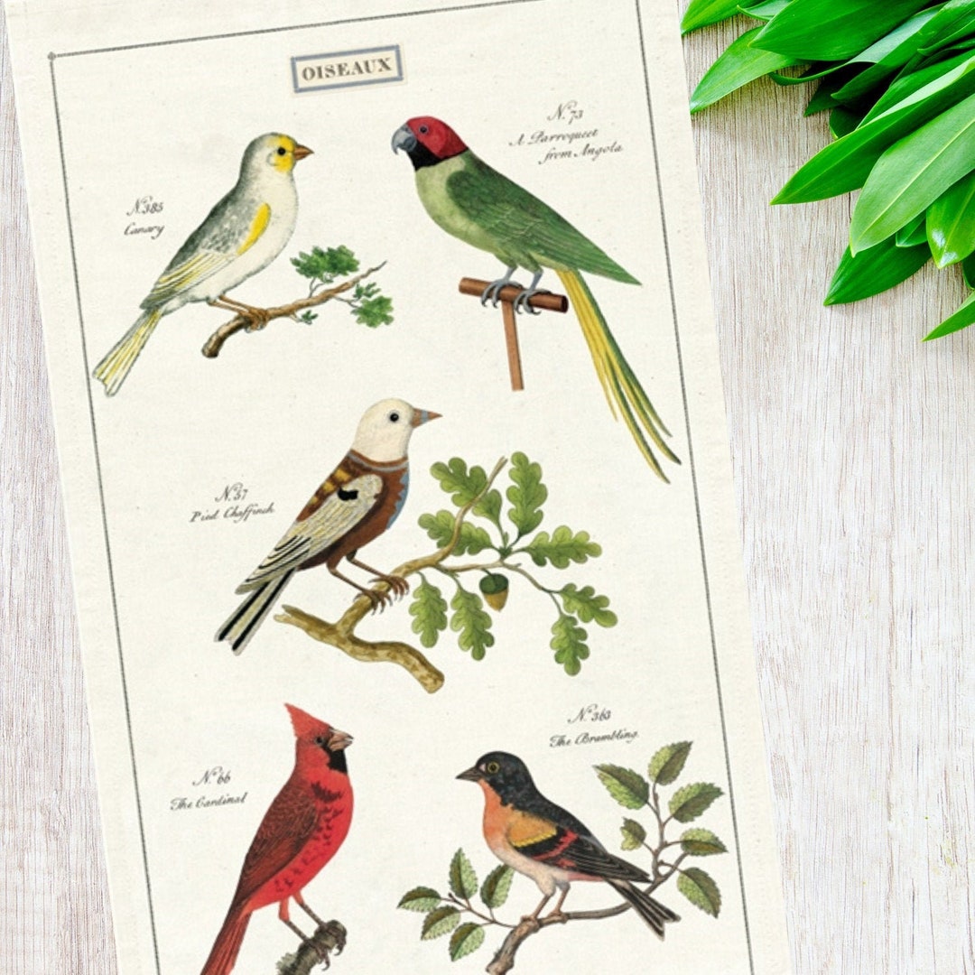 Birds Kitchen Towel | Bird Towel | Birds Tea Towel | Bird Flour Sack ...