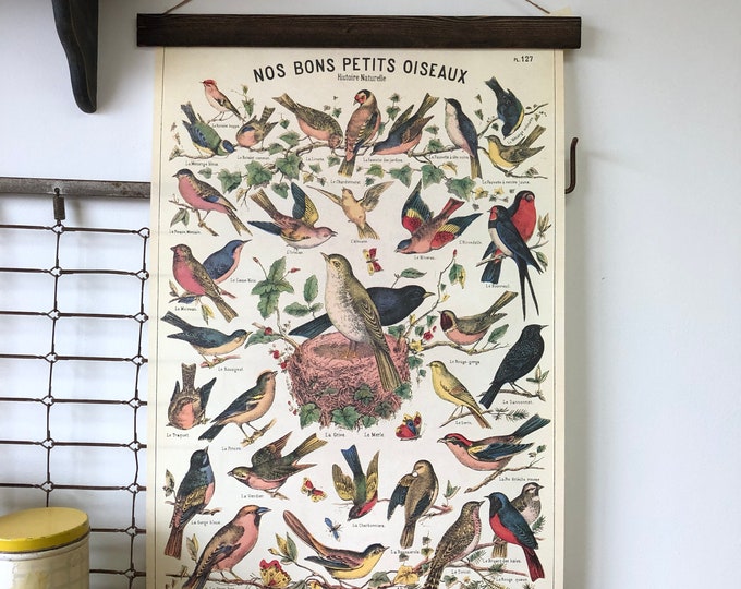 Bird Poster Bird Art Bird Print Bird Wall Art Birding - Etsy