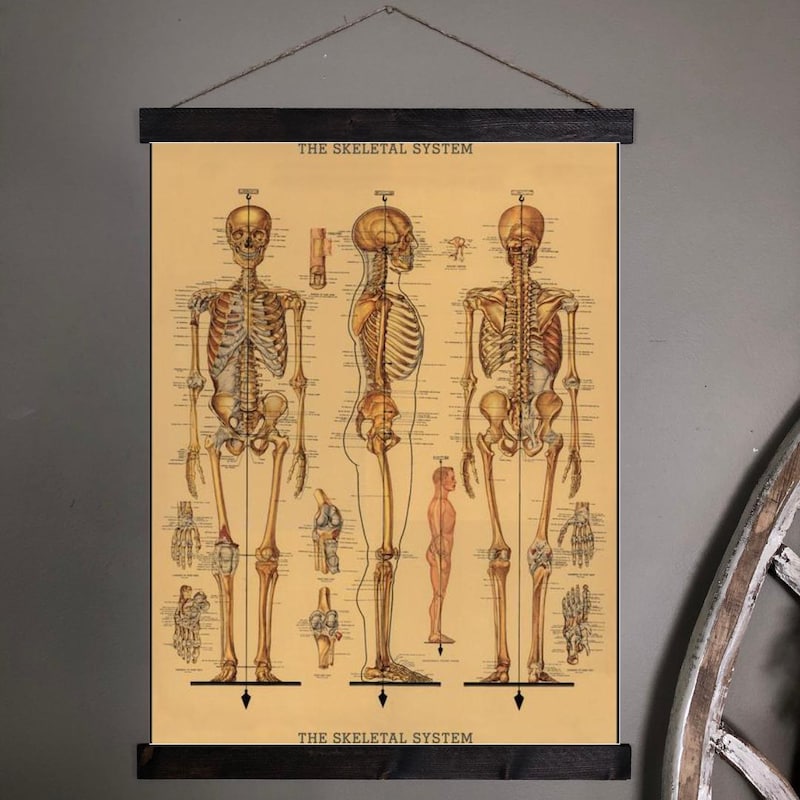 Skeleton Poster - Etsy