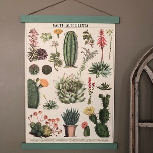 Succulent Print | Succulent Gift | Succulent Decor | Succulents Poster ...