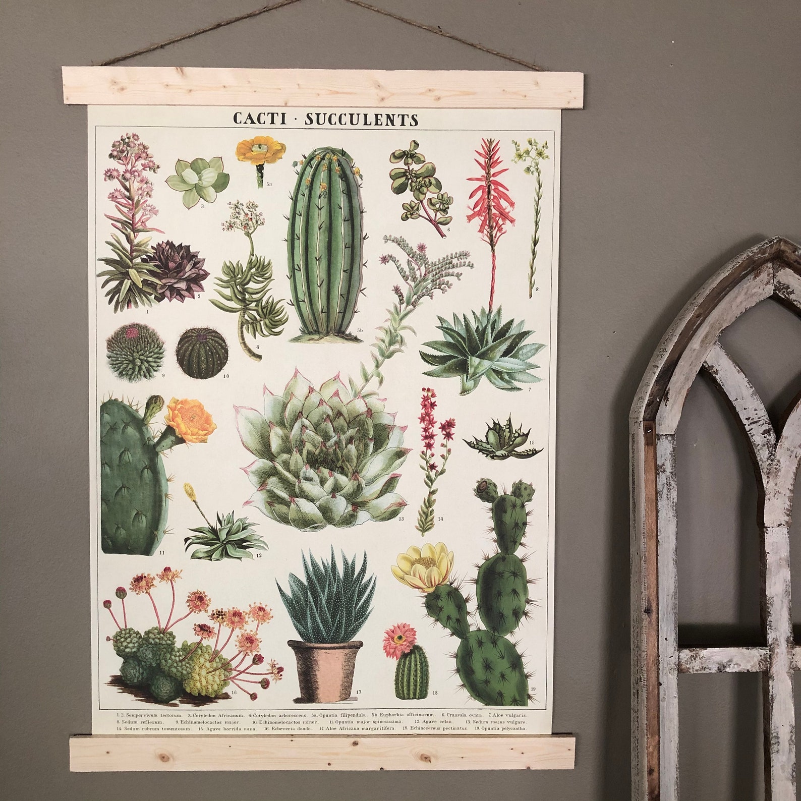 Succulent Print | Succulent Gift | Succulent Decor | Succulents Poster ...