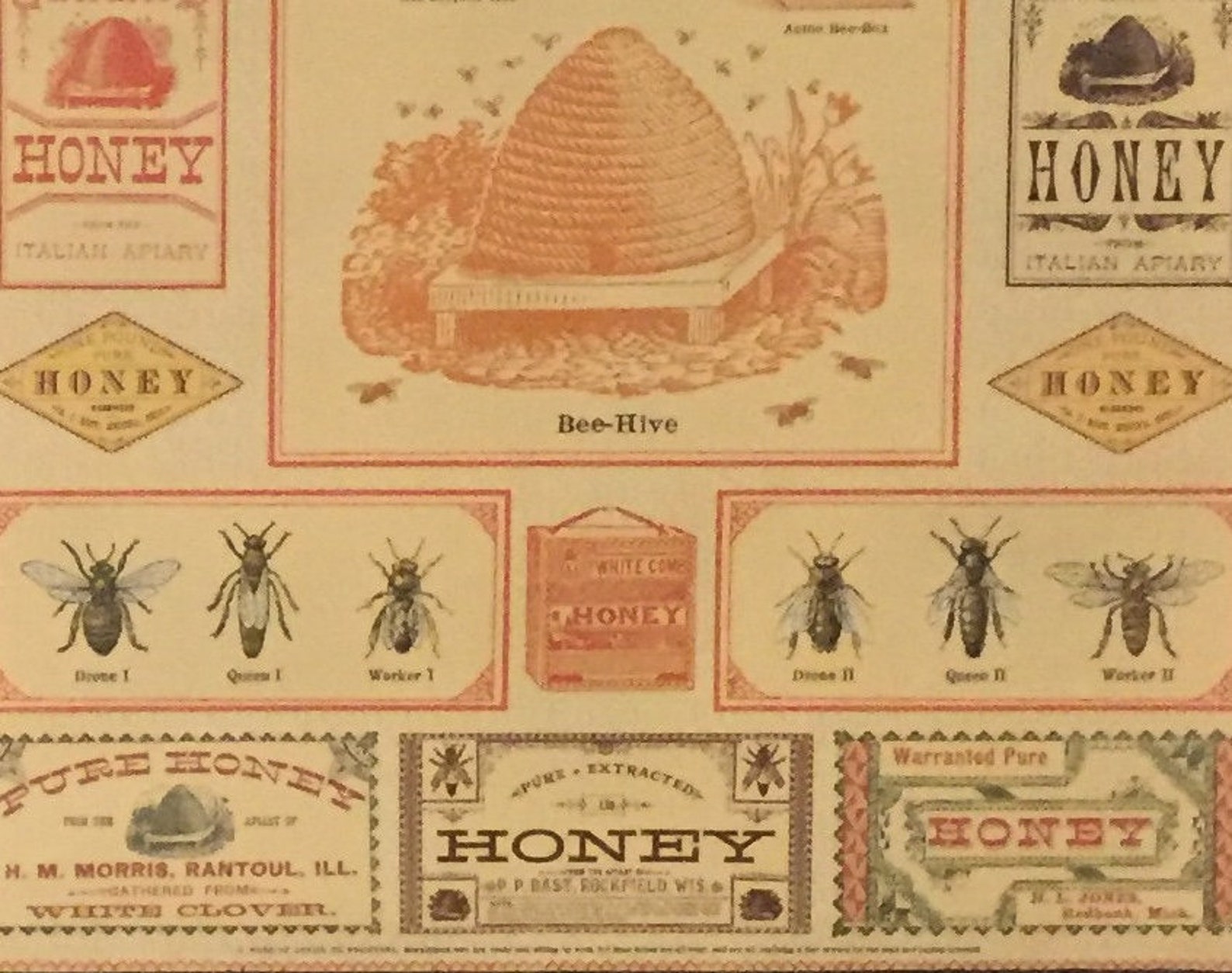 Bee Print Bee Wall Art Bees Print Vintage Bees and Honey | Etsy