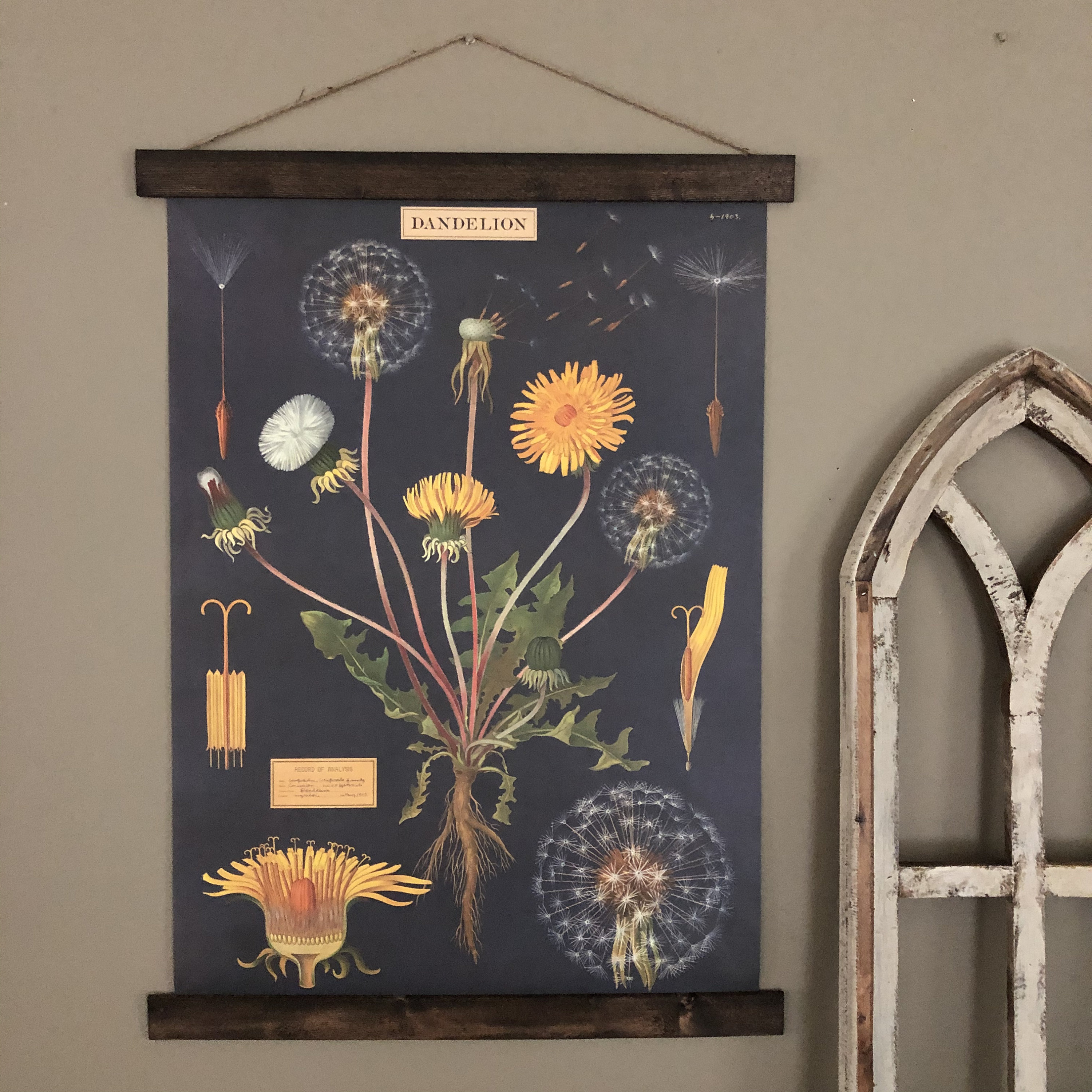 Dandelion Poster Dandelion Print Dandelion Wall Art - Etsy