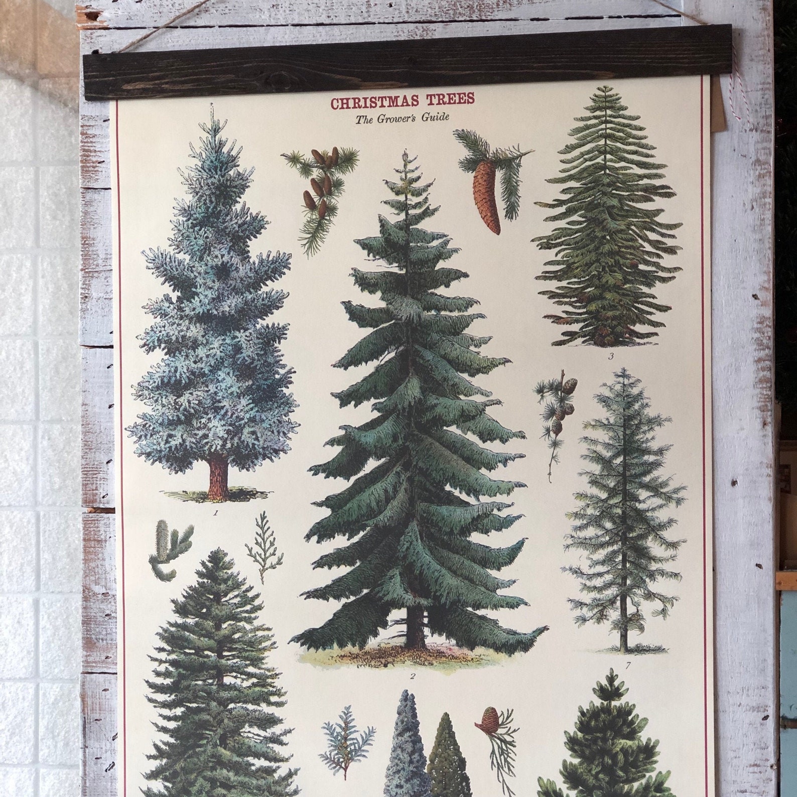 Christmas Trees Print Christmas Wall Art Trees Print - Etsy