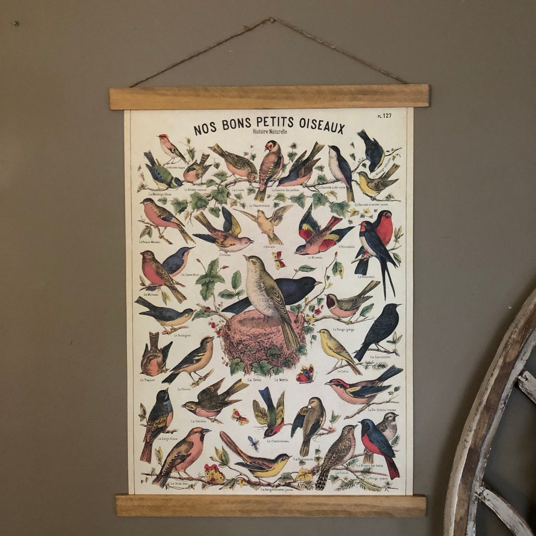 Bird Poster | Bird Art | Bird Print | Bird Wall Art | Birding | Bird ...