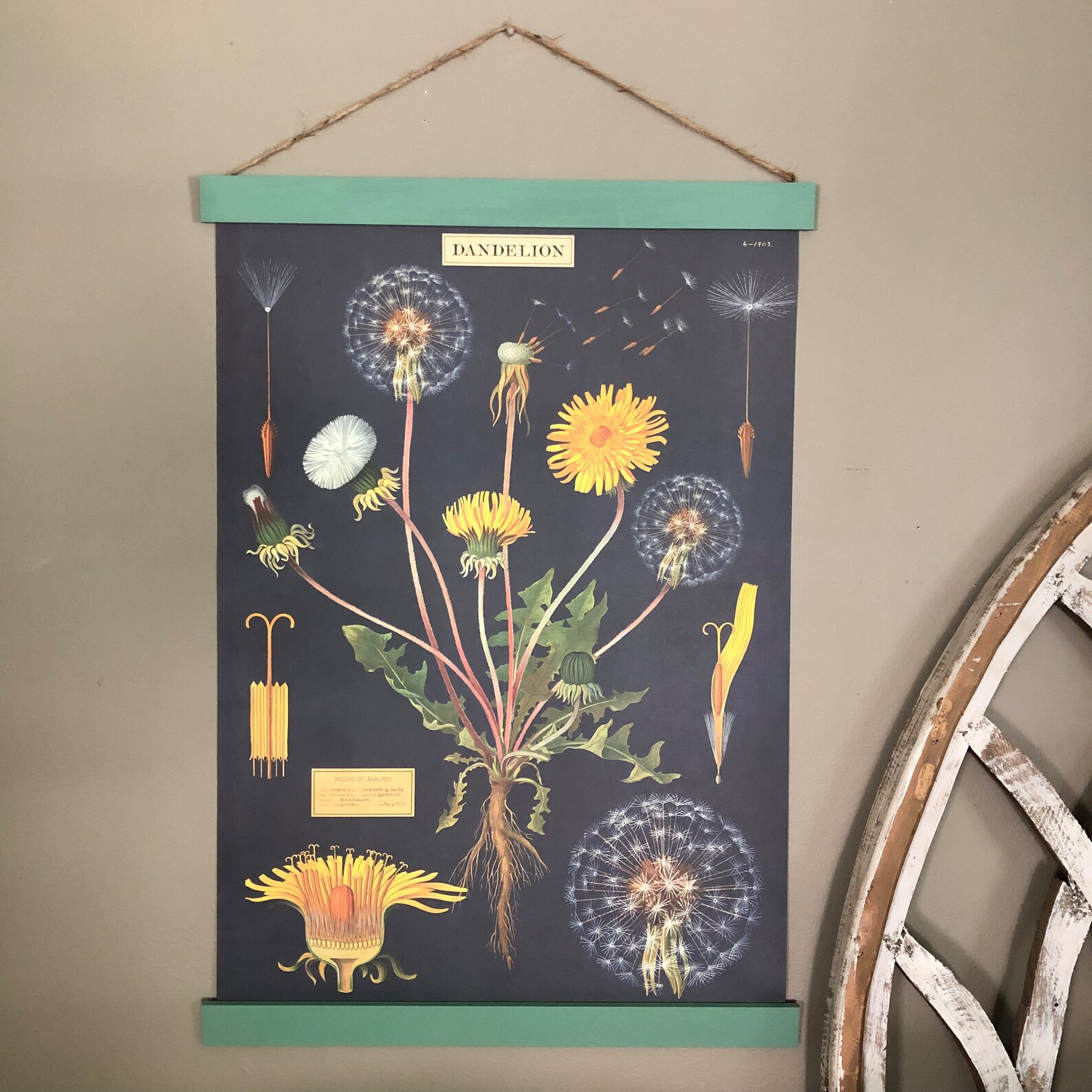 Dandelion Poster Dandelion Print Dandelion Wall Art - Etsy